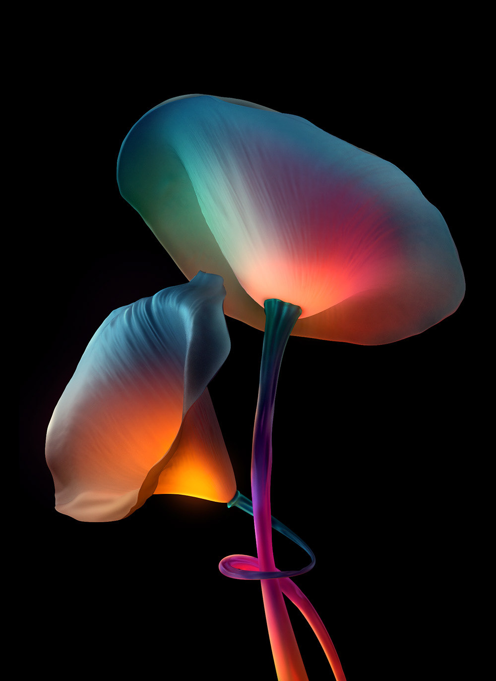 Take a Visit to Another World With These Alien Flowers by Rik ...