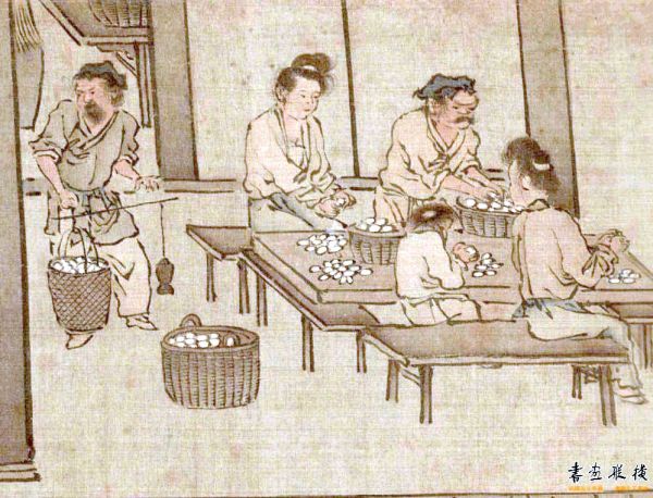 Sky Puppies and the Strange World of Domesticated Silk Moths | Moss and Fog