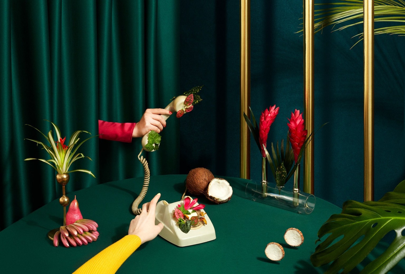 Eatsploration’s Delicious and Intriguing Visuals - Moss and Fog