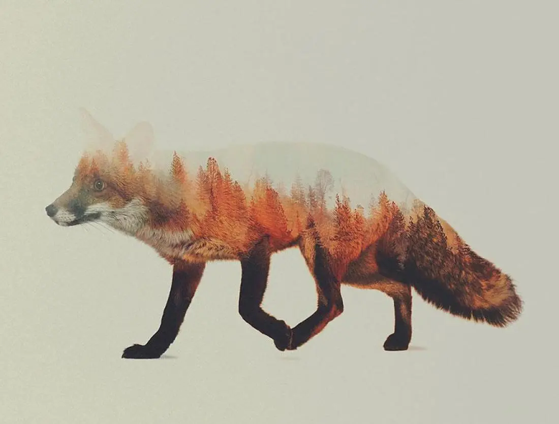 Gorgeous Double Exposure Animal Landscapes by Andreas Lie » Moss and Fog