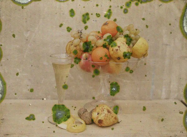 Autochrome Lumière, The World’s Earliest Color Film – Moss and Fog