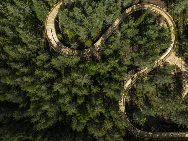 Extensive Treetop Walkway Designed to Be Accessible For All Nature ...