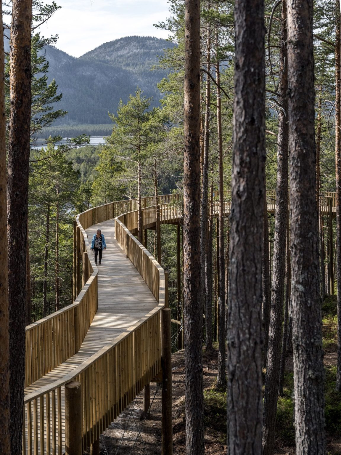 Extensive Treetop Walkway Designed to Be Accessible For All Nature ...