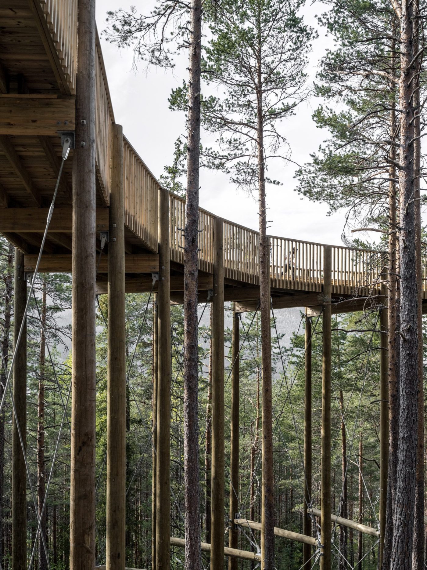Extensive Treetop Walkway Designed to Be Accessible For All Nature ...