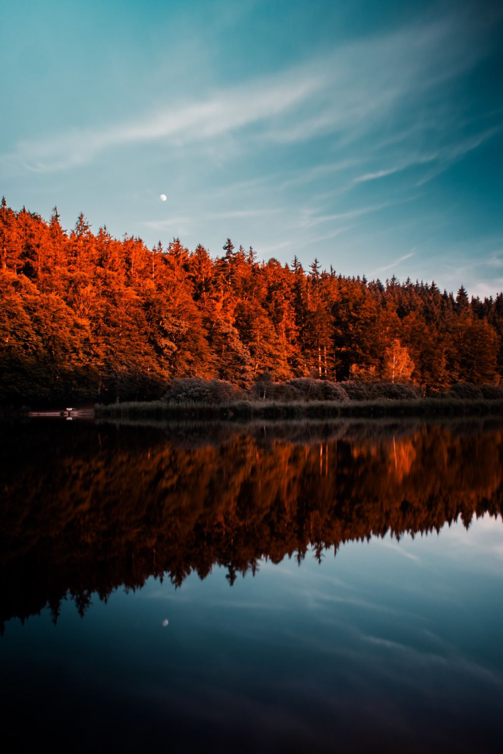 Exploring the World’s Most Impressive Fall Color Destinations – Moss ...