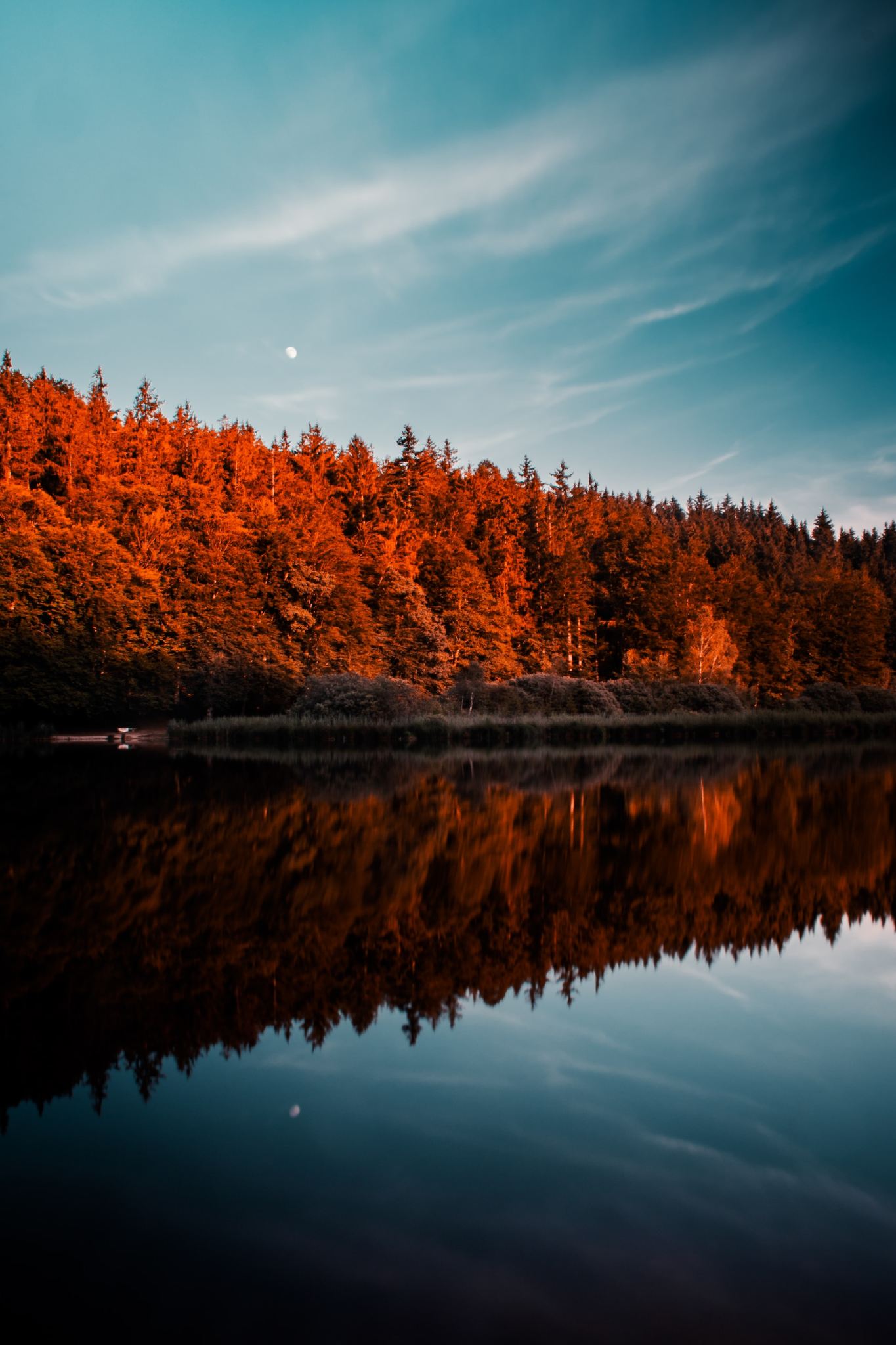 Exploring the World’s Most Impressive Fall Color Destinations – Moss ...