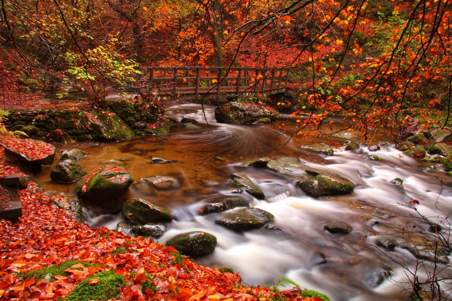 Exploring the World’s Most Impressive Fall Color Destinations – Moss ...