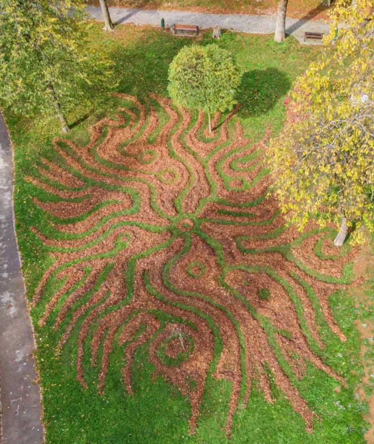 Artistic Leaf Patterns Made by Land Artist Nikola Faller – Moss and Fog