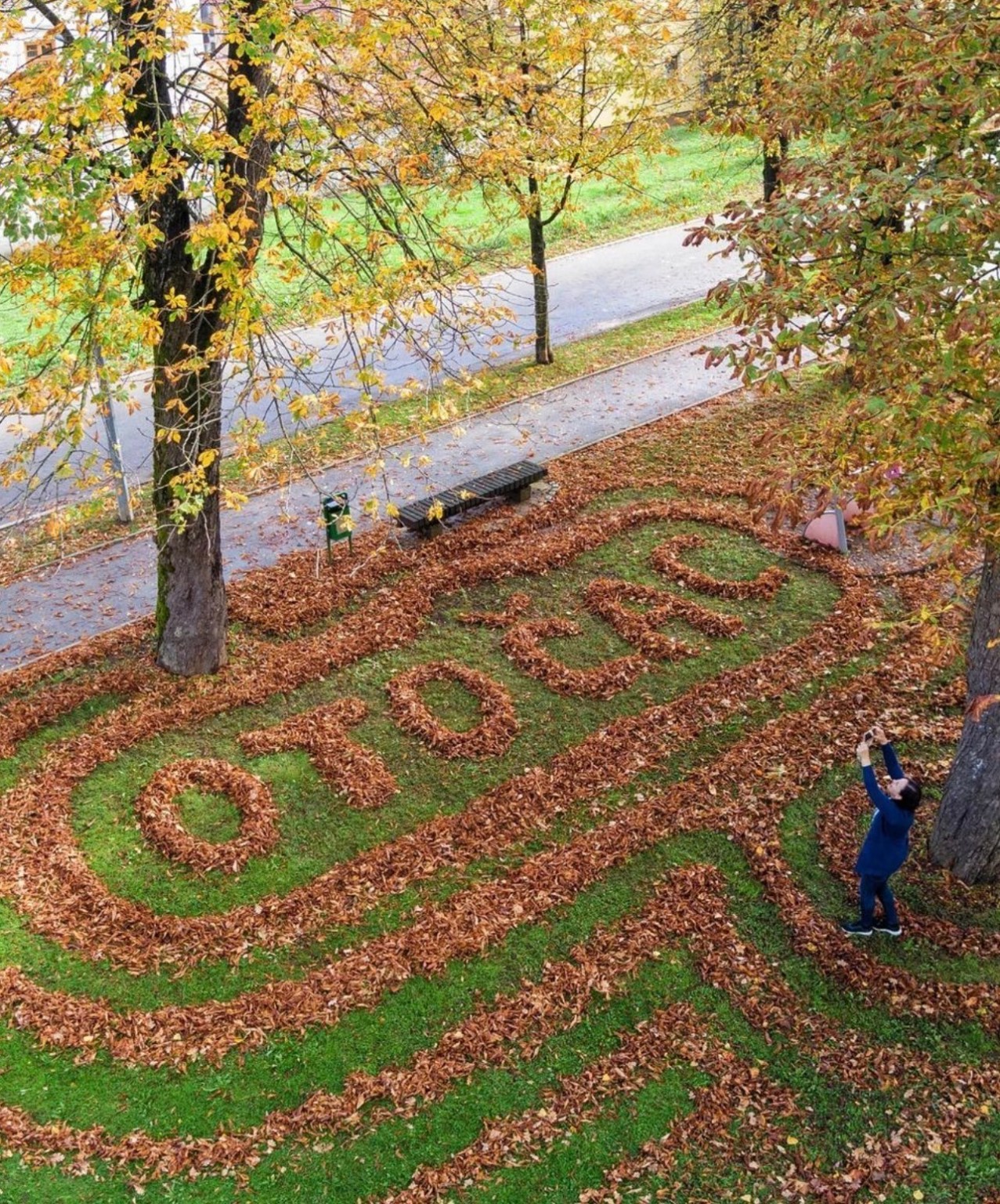 Artistic Leaf Patterns Made by Land Artist Nikola Faller – Moss and Fog