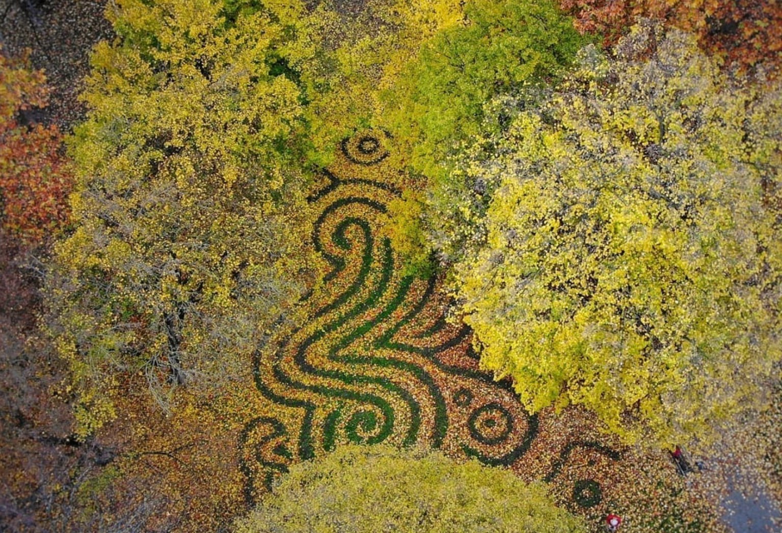 Artistic Leaf Patterns Made by Land Artist Nikola Faller – Moss and Fog
