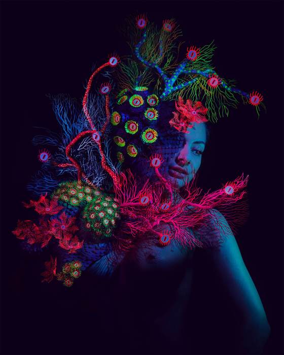 Remarkable Paper Sculptures by Anaïs Herd-Smith | Moss and Fog