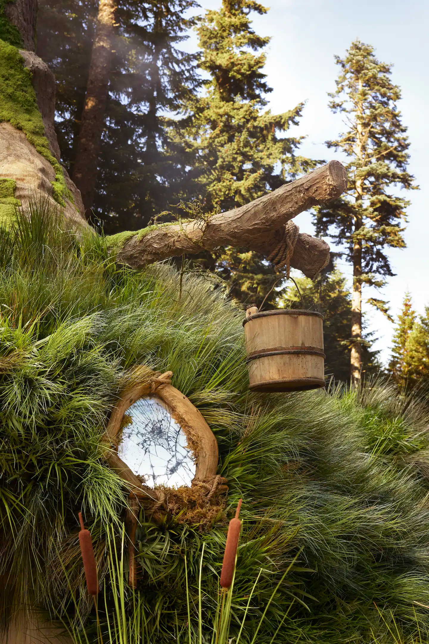 Fanciful Shrek Swamp Shack Opens on Airbnb » Moss and Fog