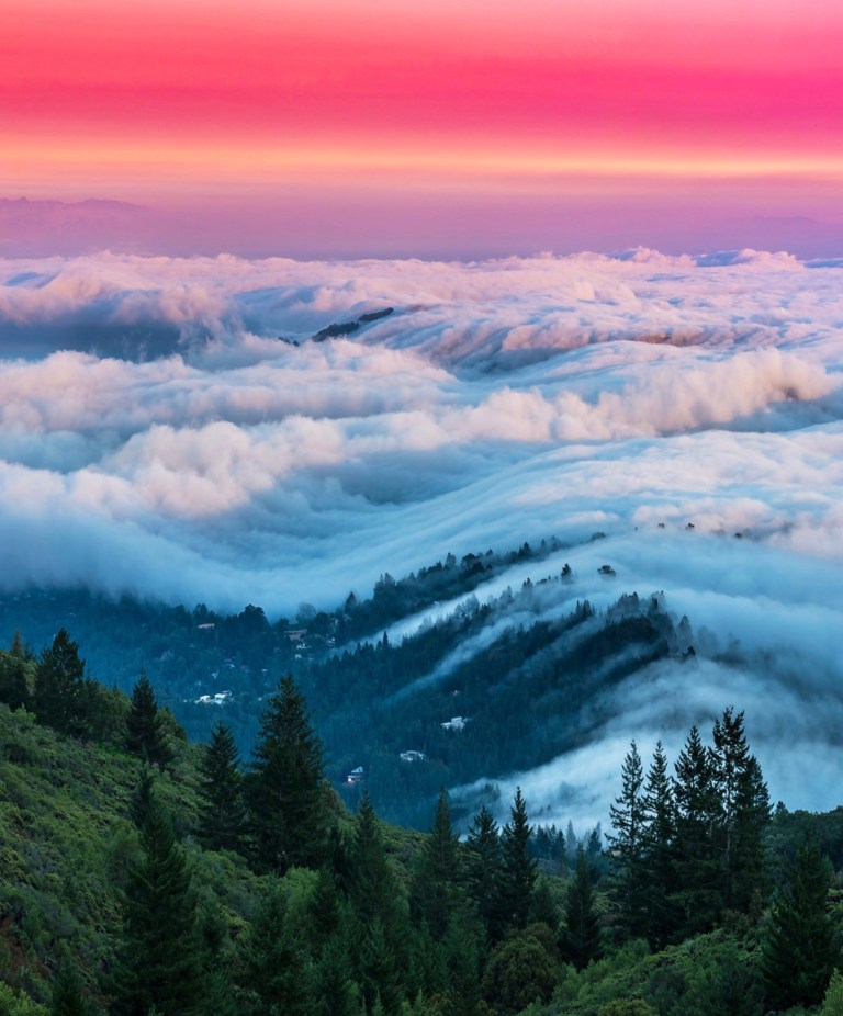 Stunning Fog Waves Rolling Over Landscapes – Moss and Fog