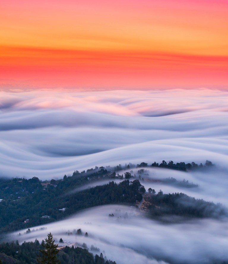 Stunning Fog Waves Rolling Over Landscapes – Moss and Fog