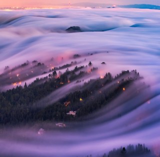 Stunning Fog Waves Rolling Over Landscapes – Moss and Fog