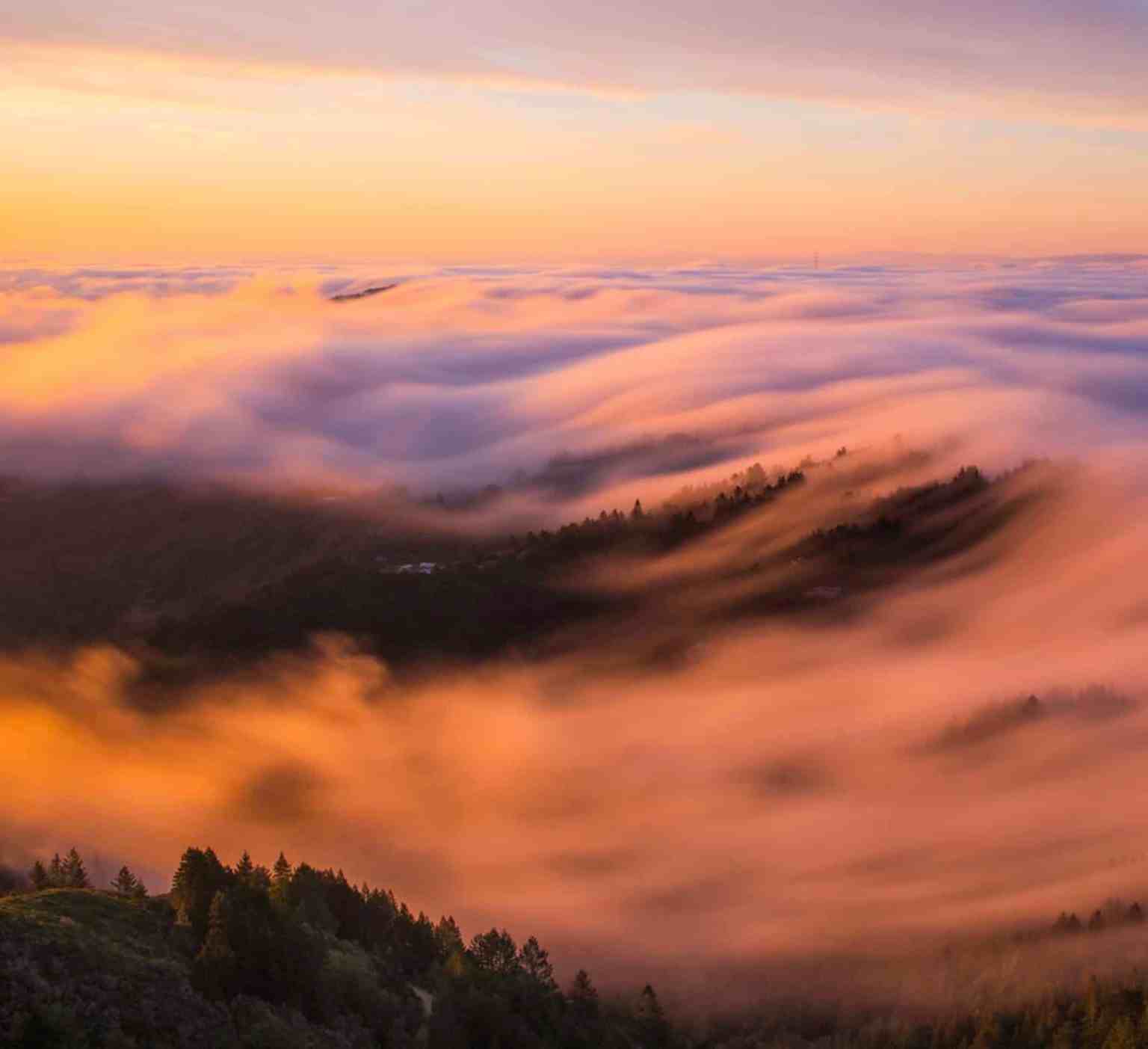Stunning Fog Waves Rolling Over Landscapes – Moss and Fog