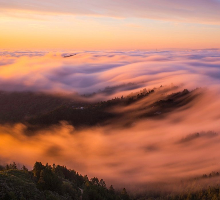 Stunning Fog Waves Rolling Over Landscapes – Moss and Fog