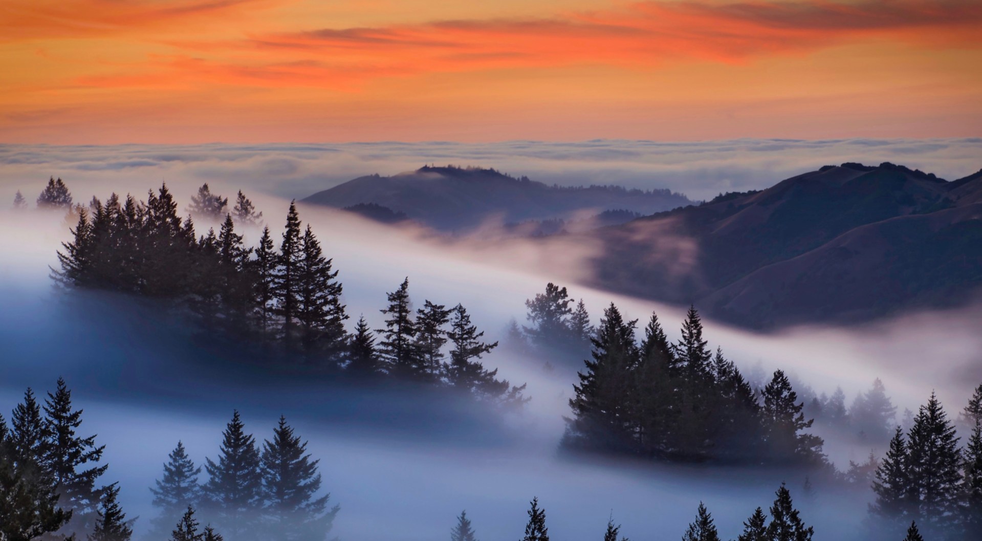 Stunning Fog Waves Rolling Over Landscapes – Moss and Fog