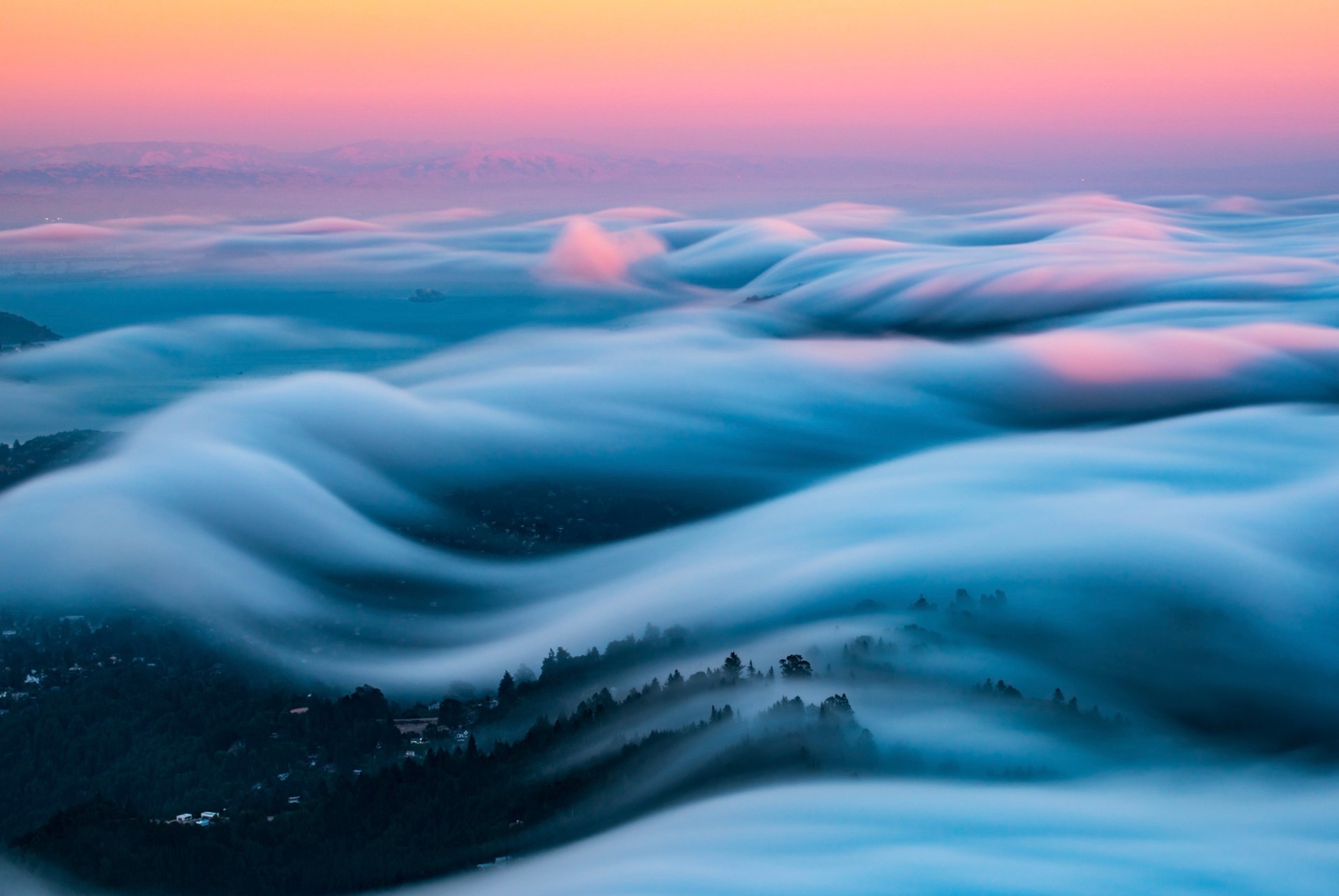 Stunning Fog Waves Rolling Over Landscapes – Moss and Fog
