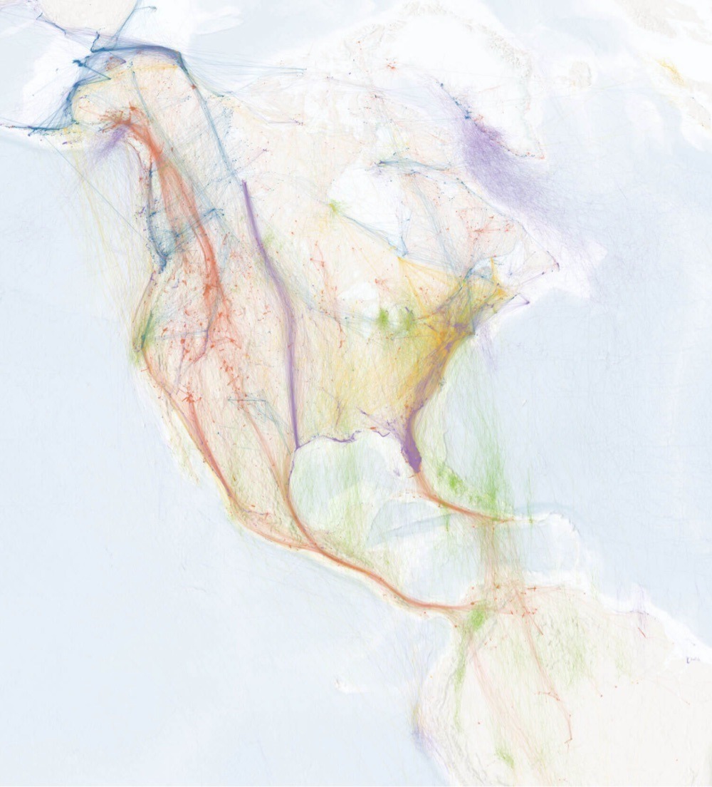 Visualize Bird Migration With Audubon’s Amazing Interactive Site » Moss ...