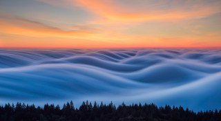 Stunning Fog Waves Rolling Over Landscapes – Moss and Fog
