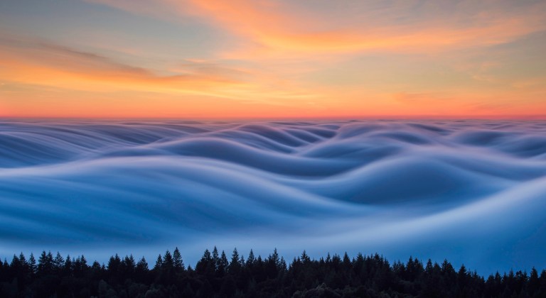 Stunning Fog Waves Rolling Over Landscapes – Moss and Fog