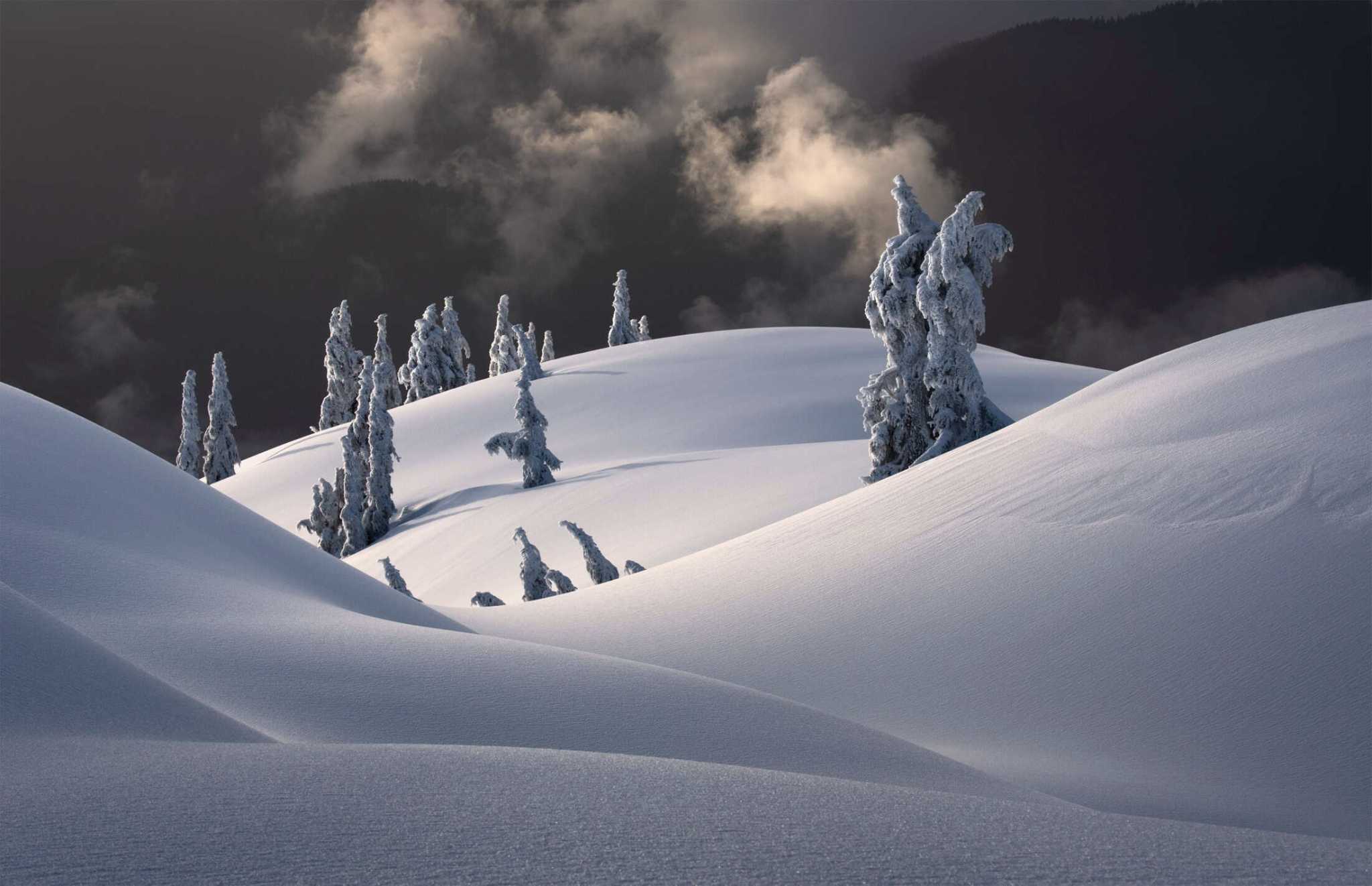 Some Amazing Images from the Nature Landscape Photography Awards » Moss ...