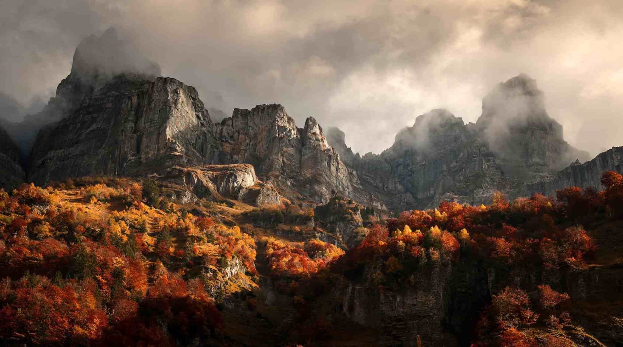 Some Amazing Images from the Nature Landscape Photography Awards » Moss ...