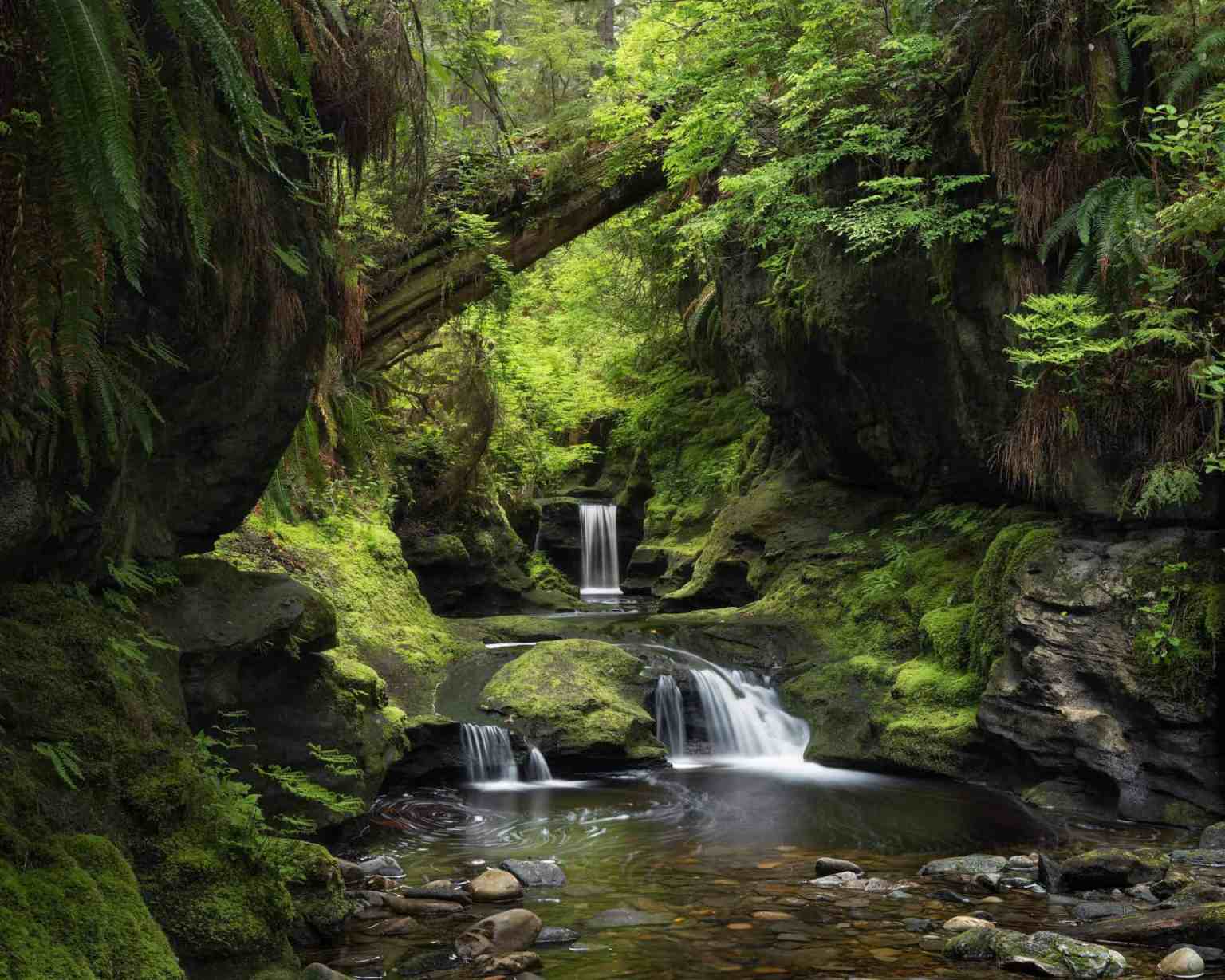 Some Amazing Images from the Nature Landscape Photography Awards » Moss ...