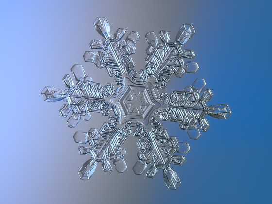 Gorgeous Snowflakes Show Exquisite Geometry and Limitless Variation ...