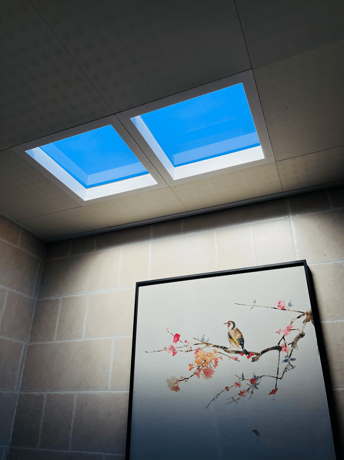 These Artificial Skylights Bring Spaciousness and Light Where It Isn’t ...