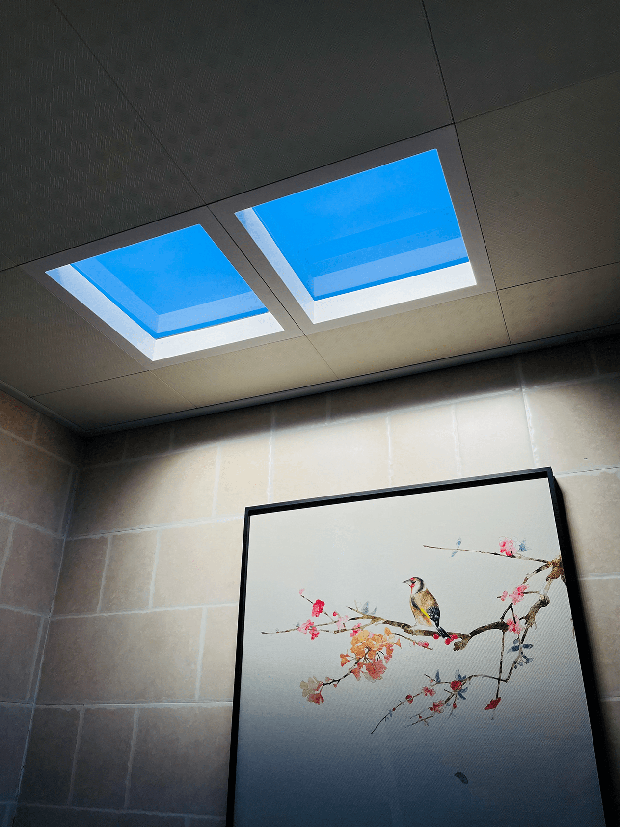 These Artificial Skylights Bring Spaciousness and Light Where It Isn’t ...