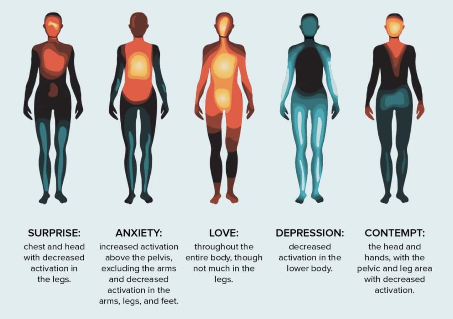 Where Emotions Are Felt in the Body » Moss and Fog