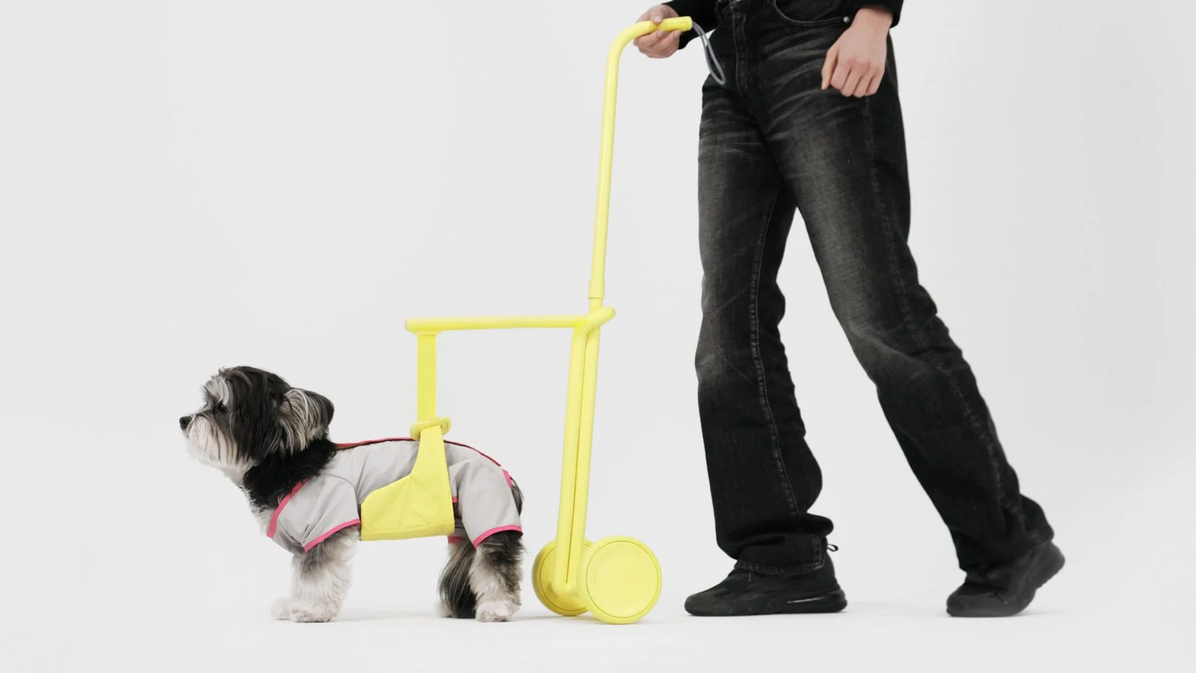 Cleverly Designed Walking Aid for Elderly Dogs » Moss and Fog