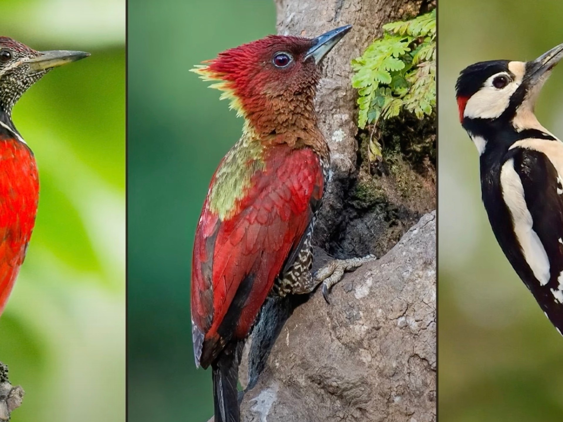 Baroque Swimming Pools Have Us Swooning – Moss and Fog