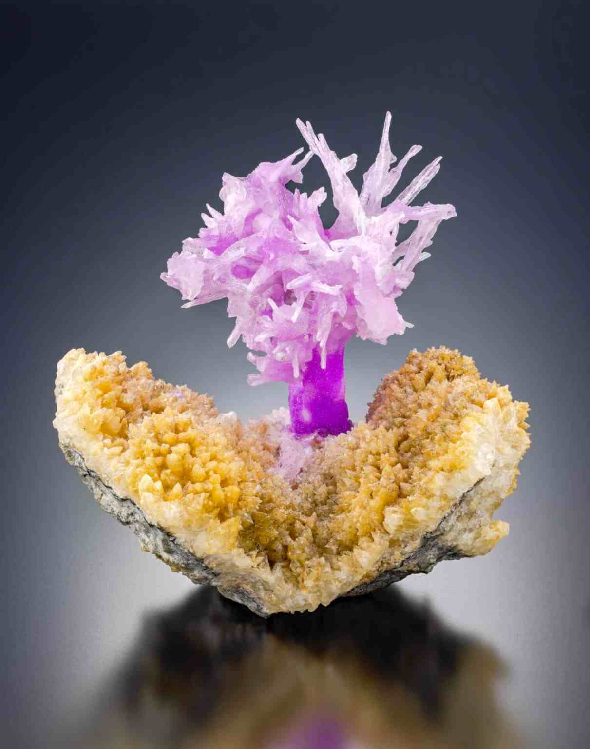 Stunning Minerals and Gems Photographed by László Kupi – Moss and Fog