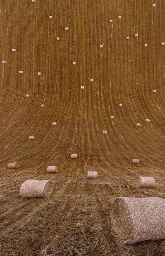 Fantastical Altered Landscapes by Aydın Büyüktaş – Moss and Fog