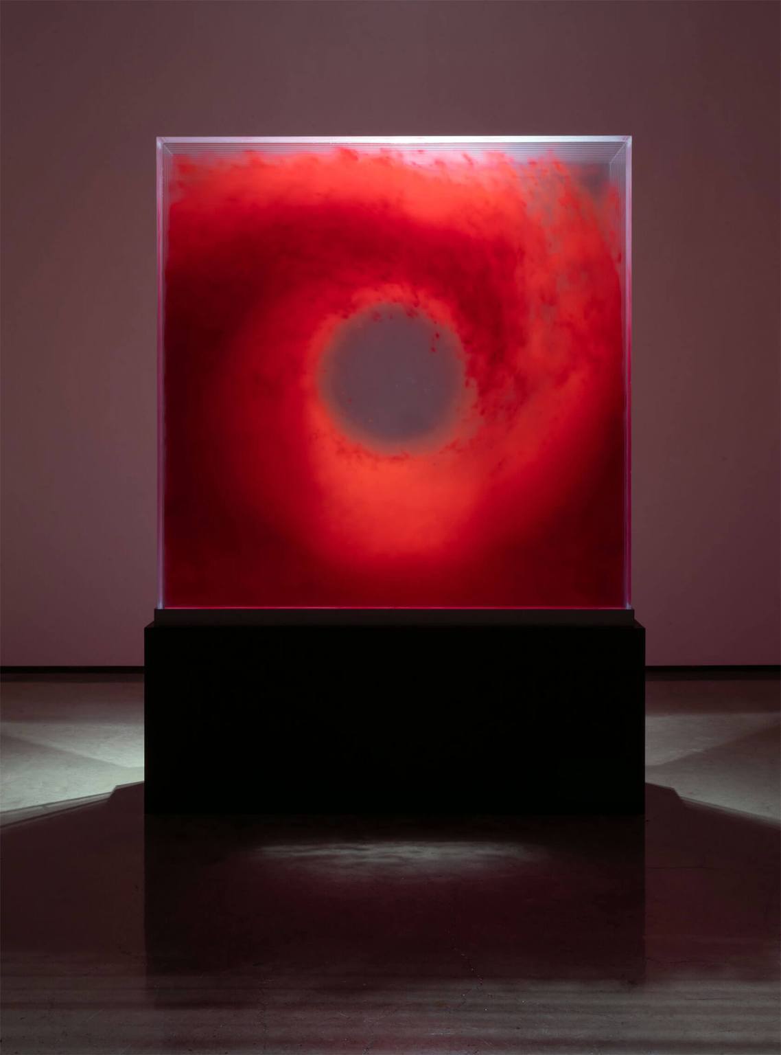 3D Sculptural Installations by David Spriggs – Moss and Fog