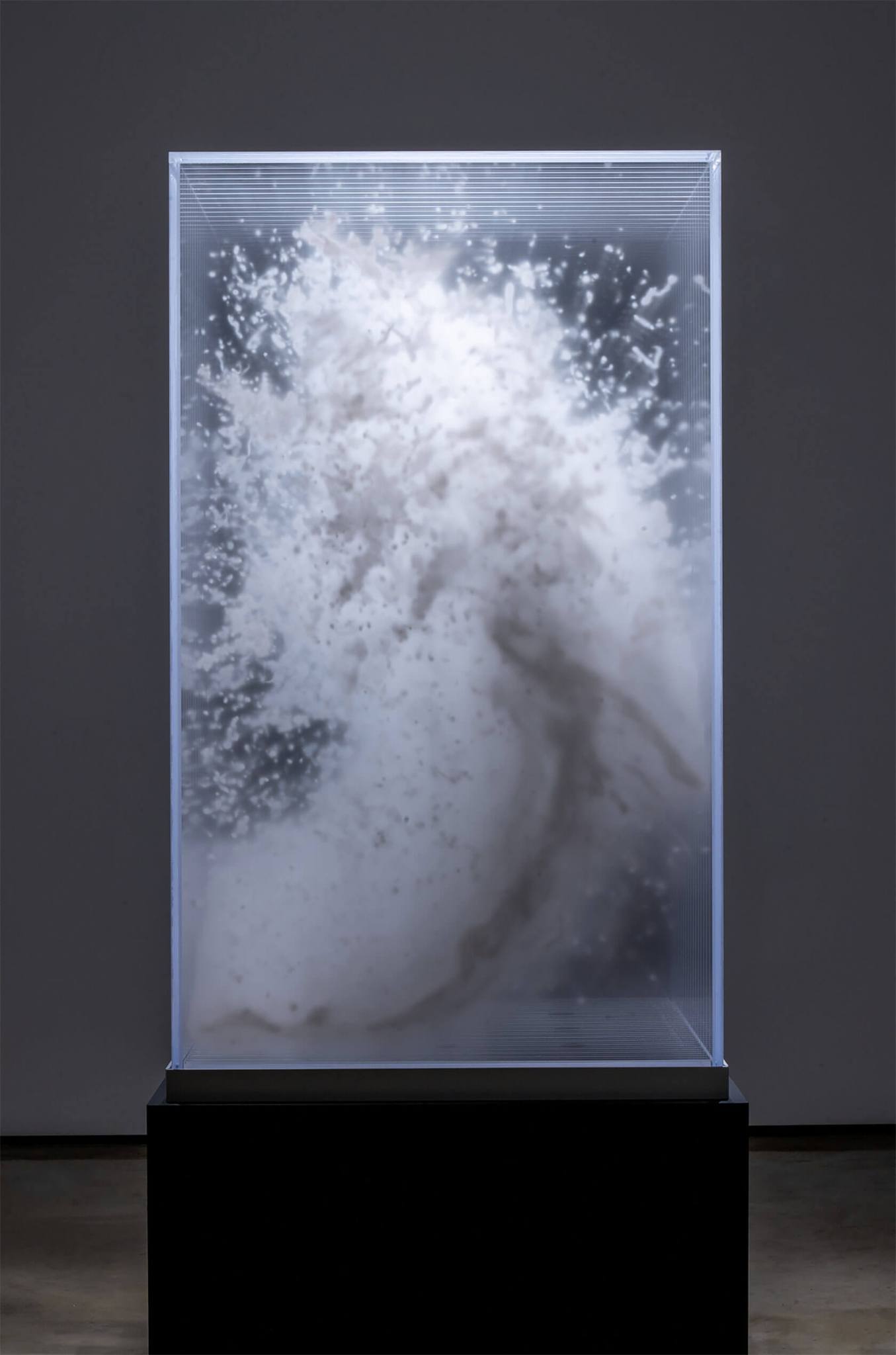 3D Sculptural Installations by David Spriggs – Moss and Fog
