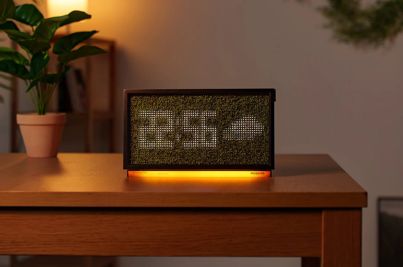 The Moss Echo Merges Technology with a Living Plant » Moss and Fog