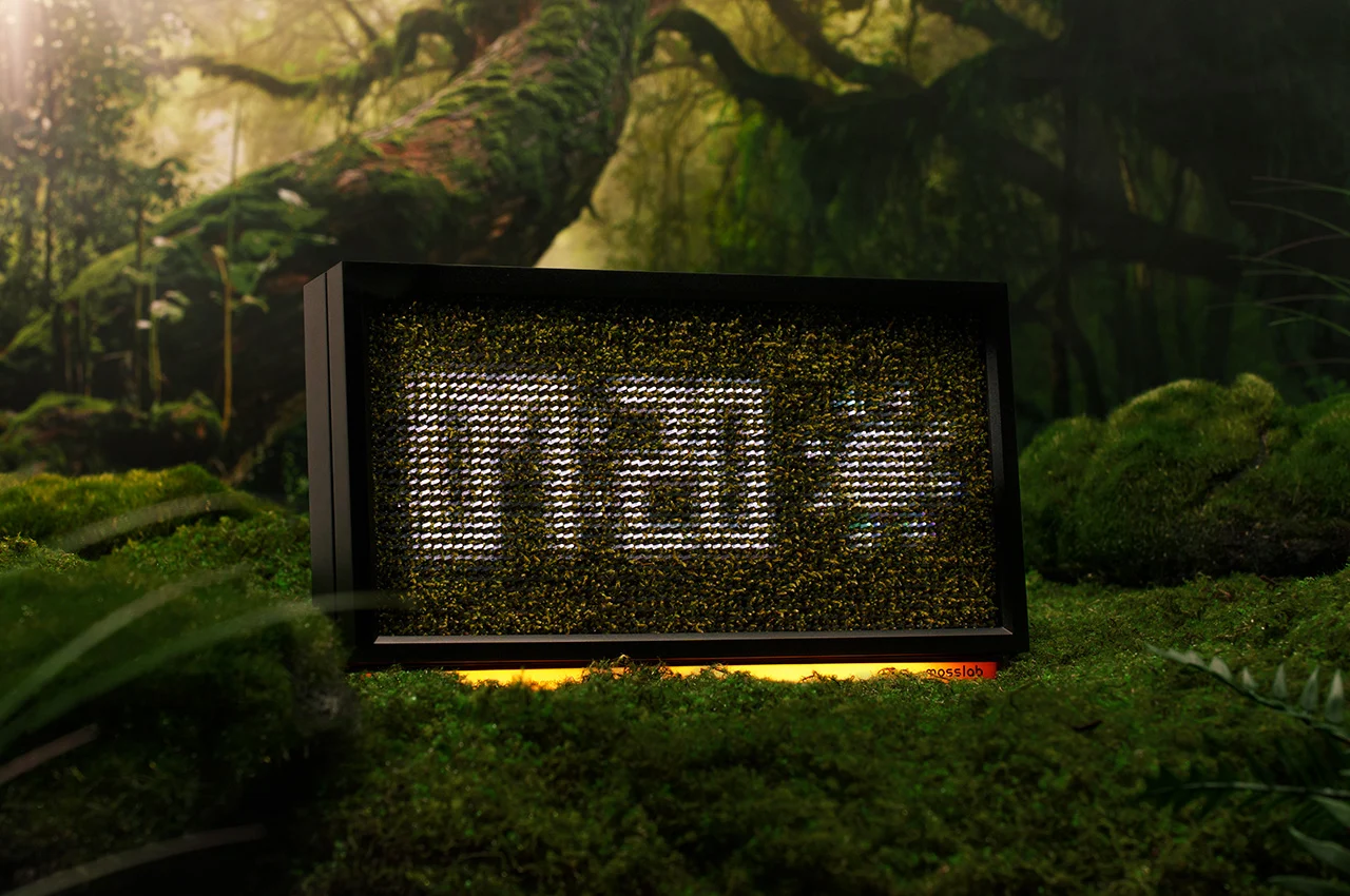 The Moss Echo Merges Technology with a Living Plant » Moss and Fog