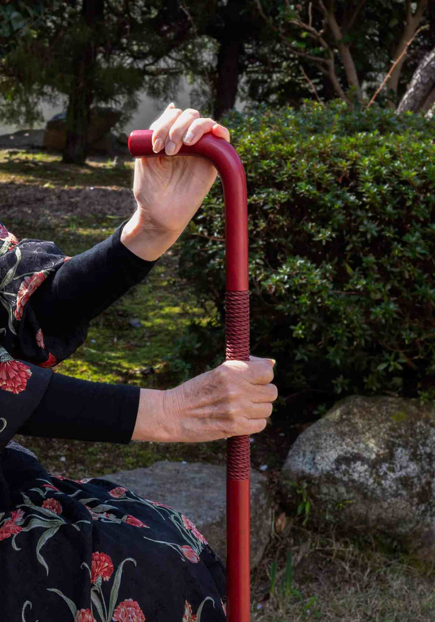 A Love Letter to Walking Sticks and Canes » Moss and Fog