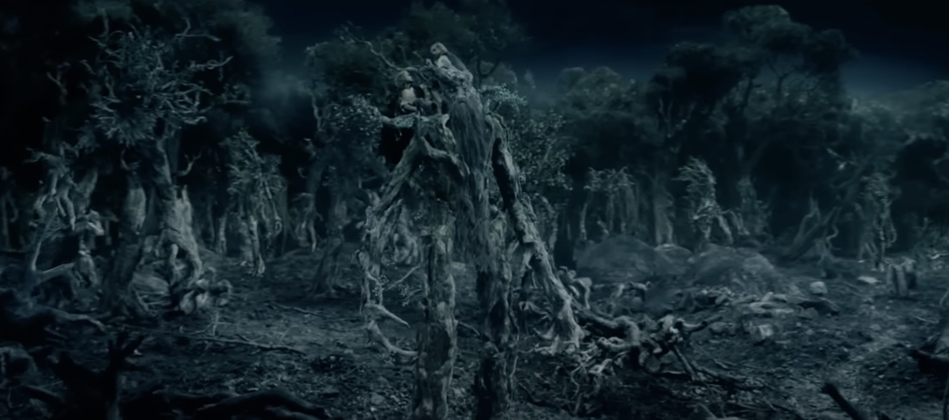 Tree In New Zealand Remarkably Resembles The Ent Trees From Lord of the ...