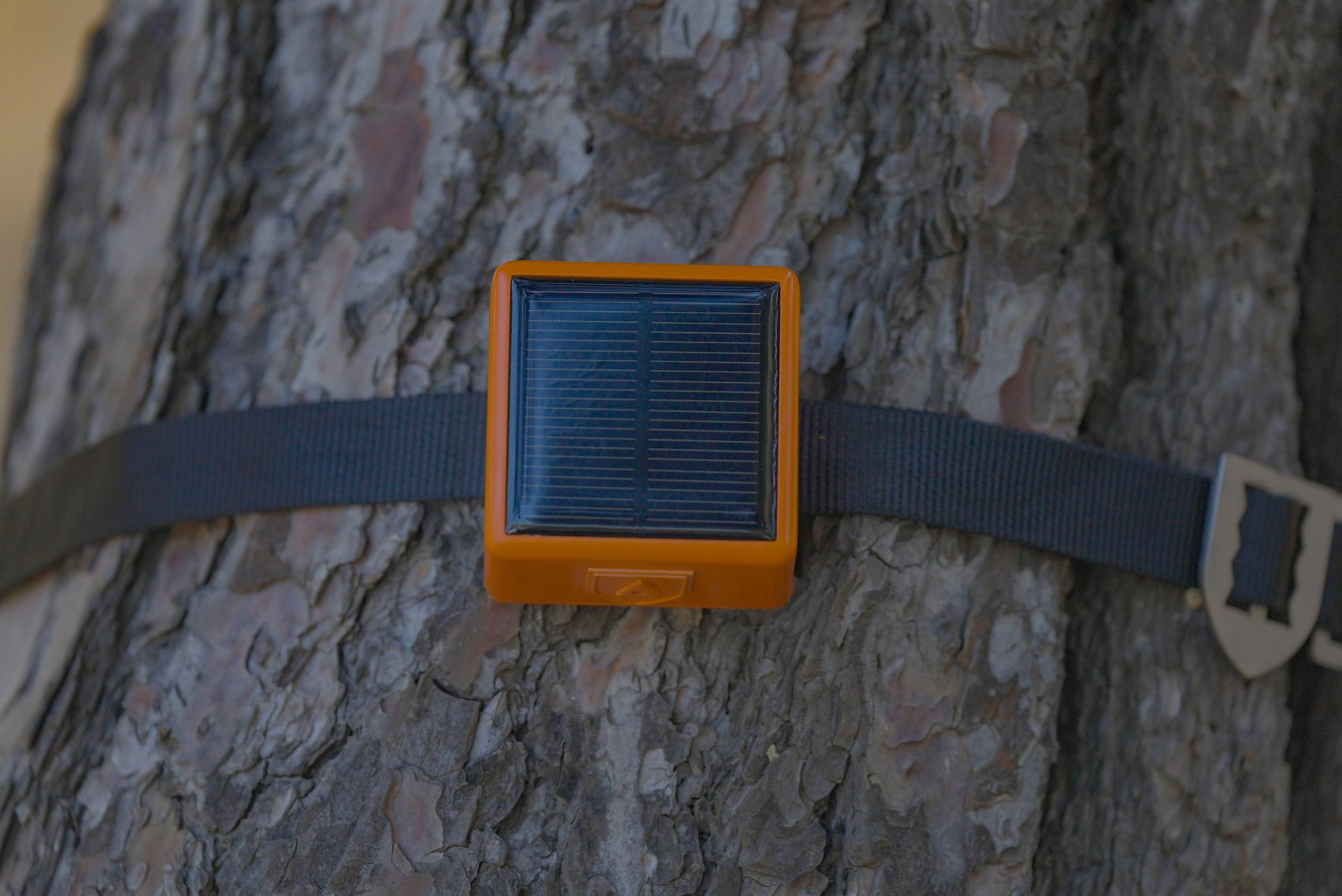 ForestGuard is a Satellite Enabled Sensor to Detect Wildfires and ...