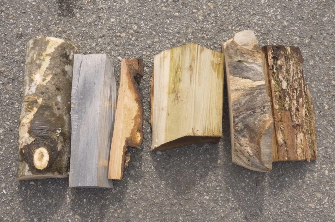 Forest Crayons Are Colored With Pigment From Japanese Trees – Moss and Fog