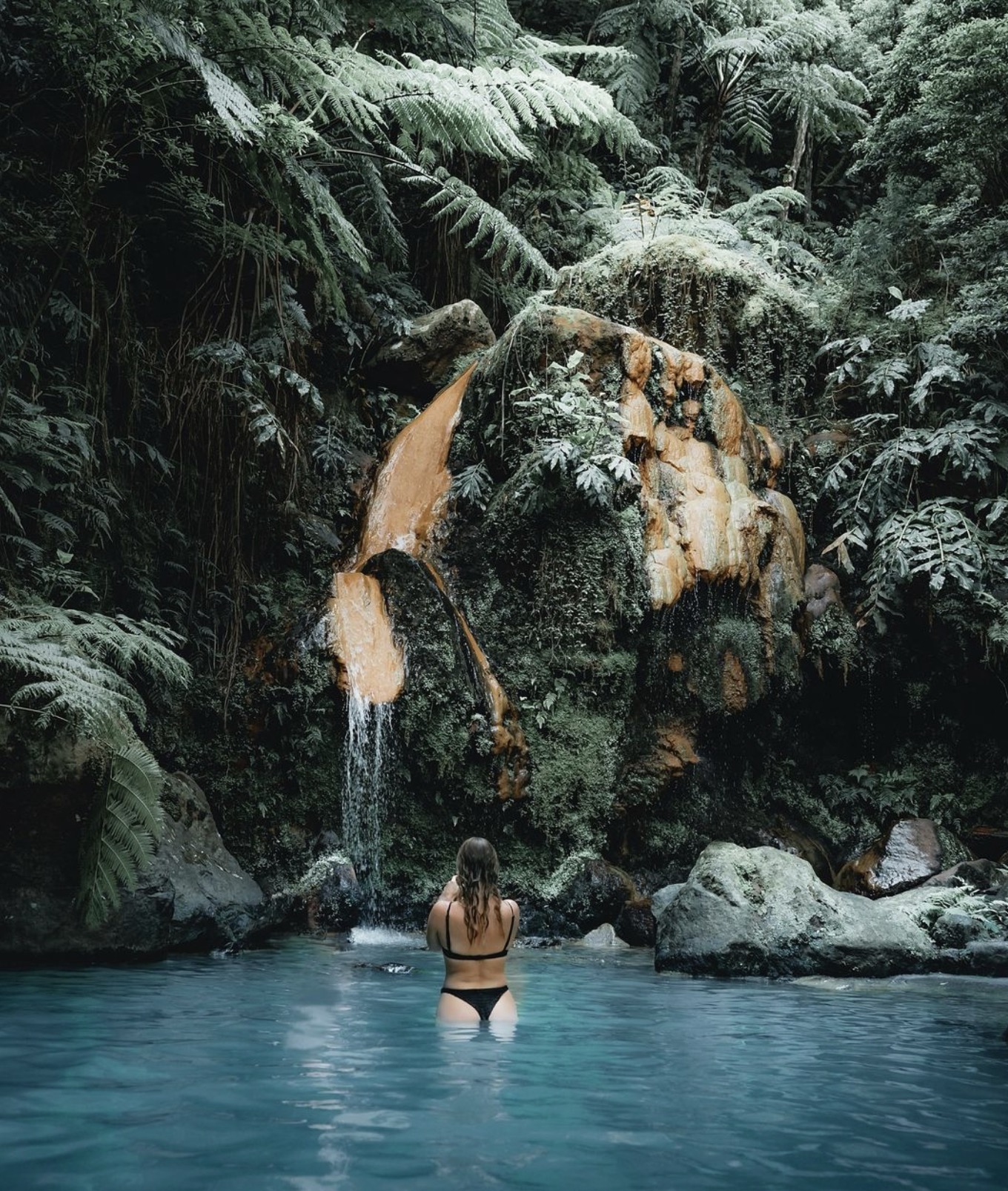 Screenshot – Moss and Fog