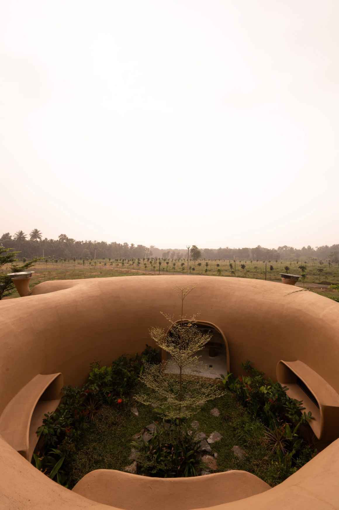The Wild House by Earthscape Studio Is as Untamed as Its Name | Moss ...